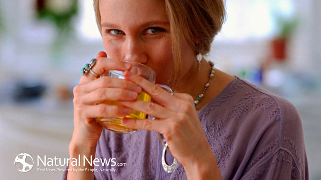 The best kombucha you ever tasted? - The Kombucha Lady